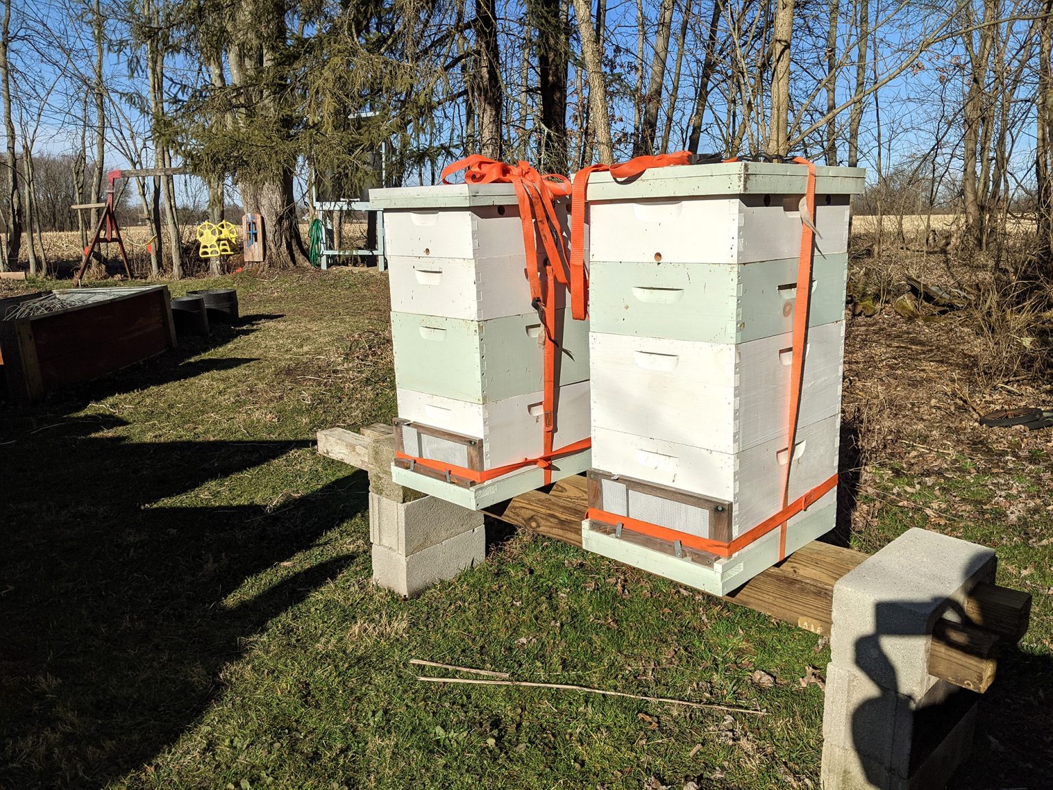 Successful Hive Move Hinges on Preparation - Backyard Beekeeping